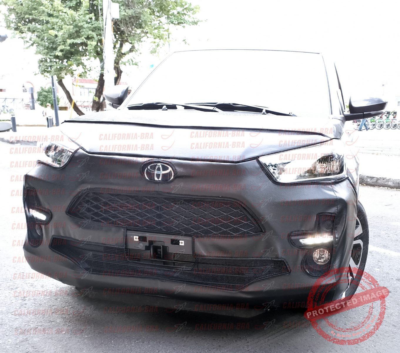 Raize 2022-23 - California Bra